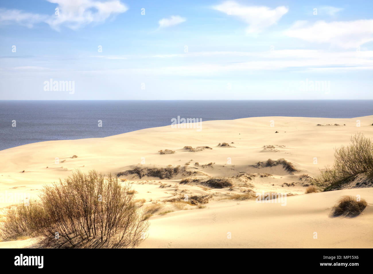 Kaliningrad region. View of the Curonian Spit, from the height of the ...