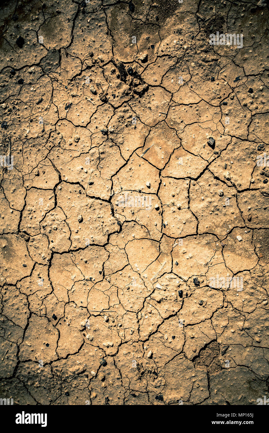 Desert Planet Texture