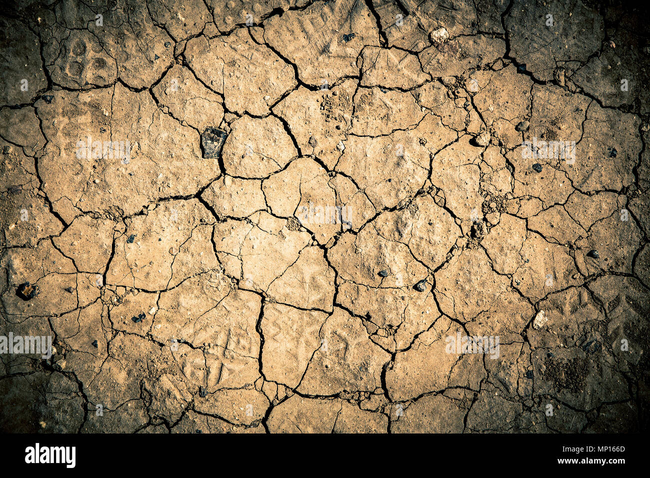 Pebbles rocks crack geology hi-res stock photography and images - Alamy