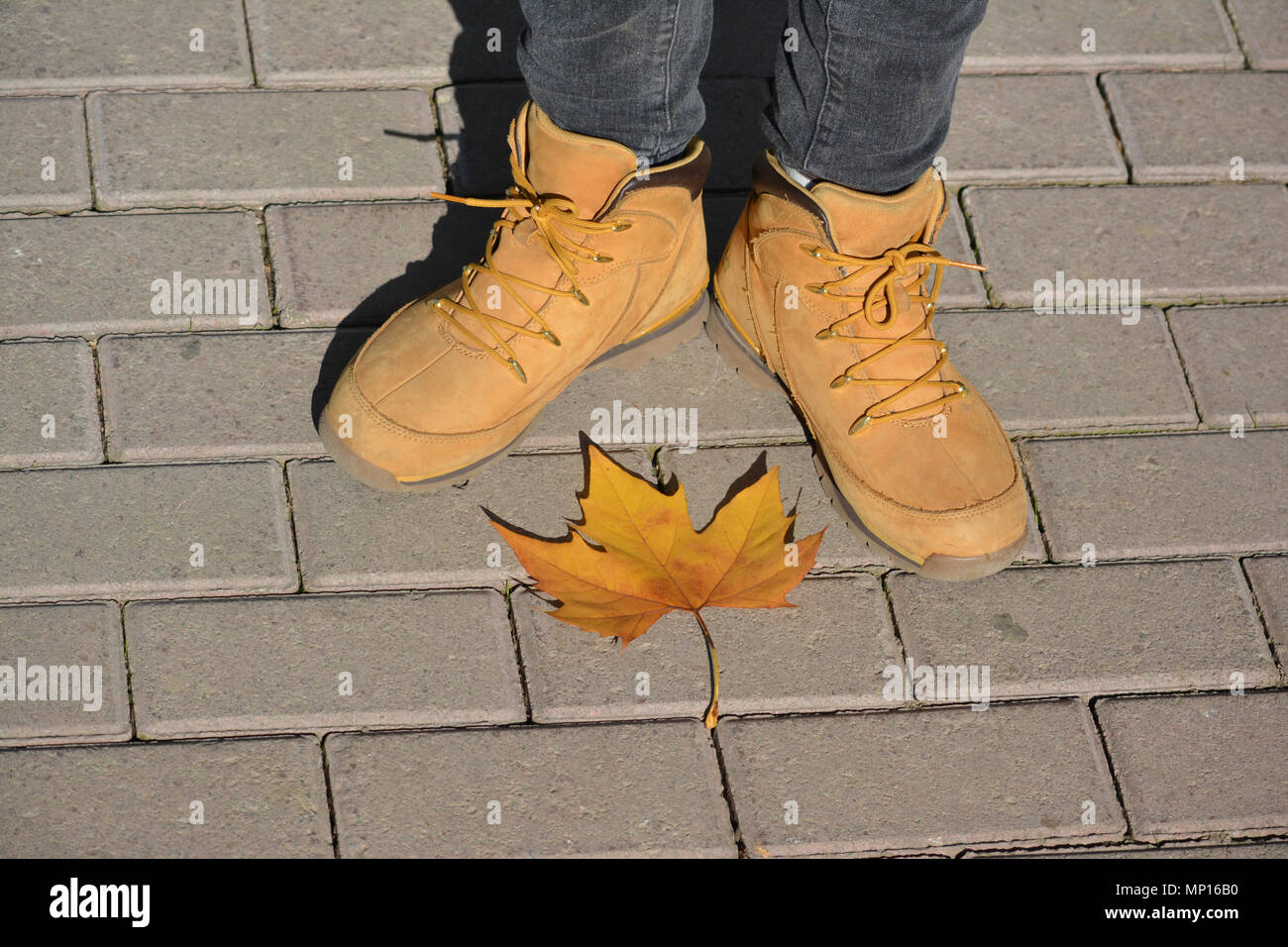 Girl's feet in autumn shoes on pavement with one fall yellow maple leaf ...
