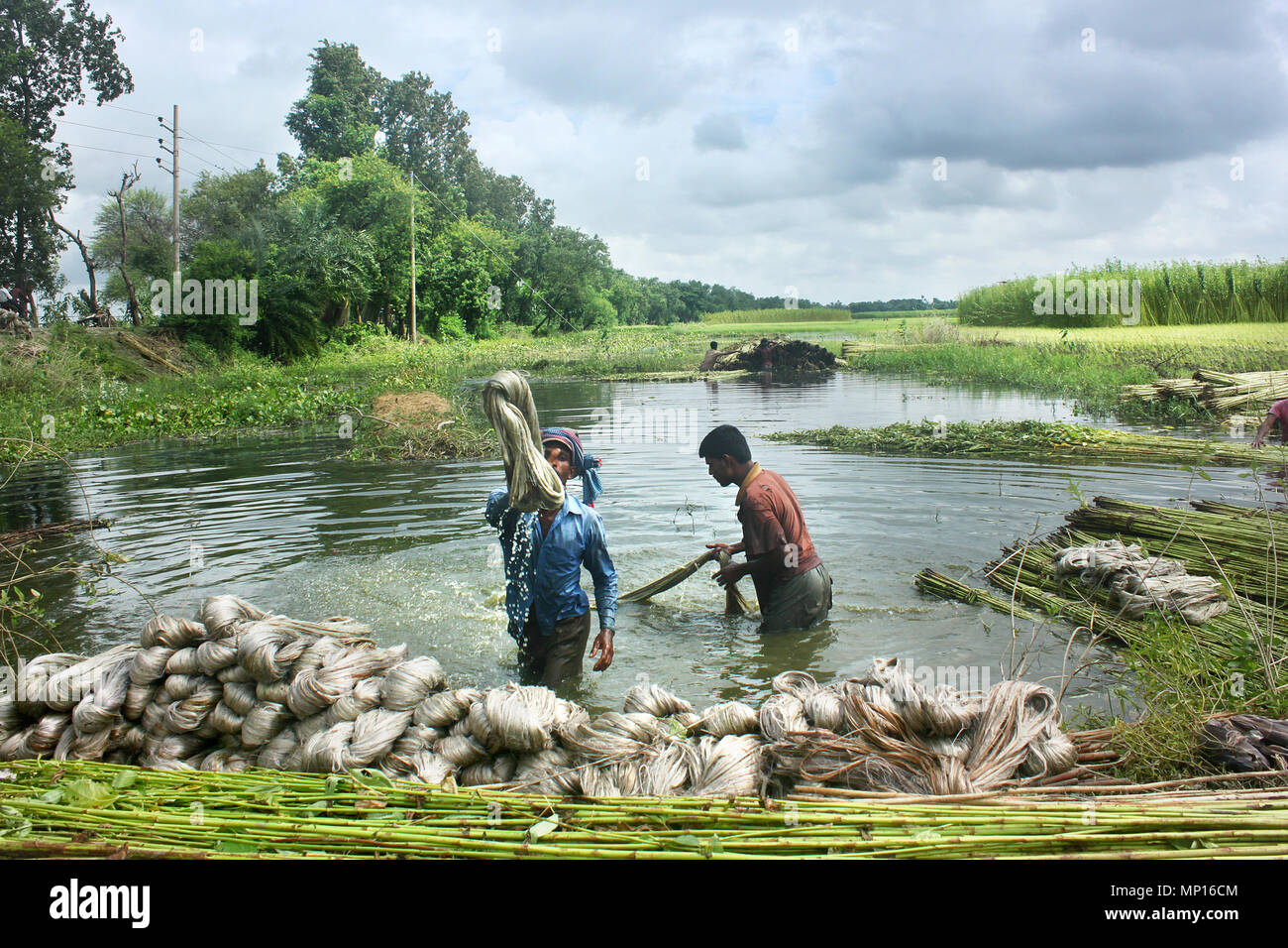 Jute bangladesh hi-res stock photography and images - Alamy