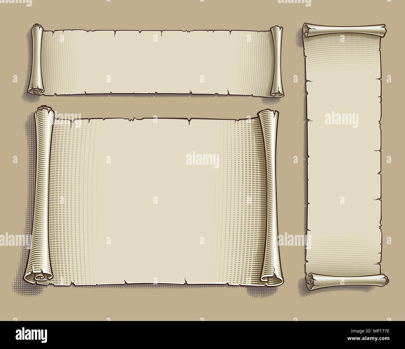 Set of three vector Engraved illustrations of blank scrolls. Each ...