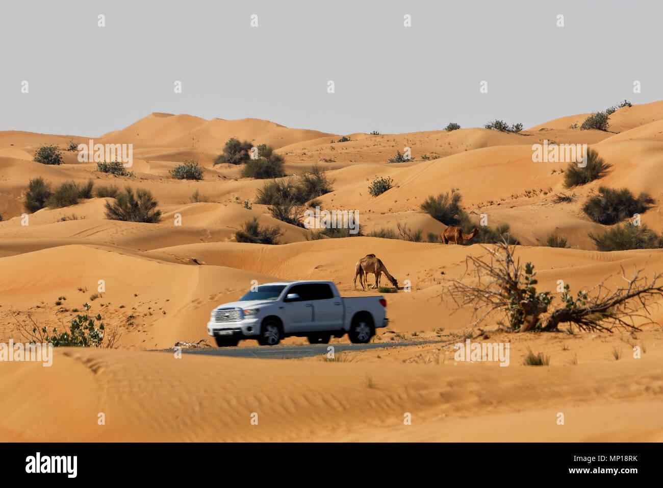 Reifen turm hi-res stock photography and images - Alamy