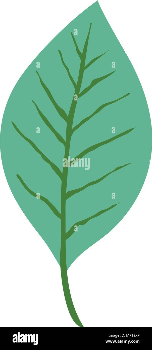 leaf single decorative icon Stock Vector Image & Art - Alamy