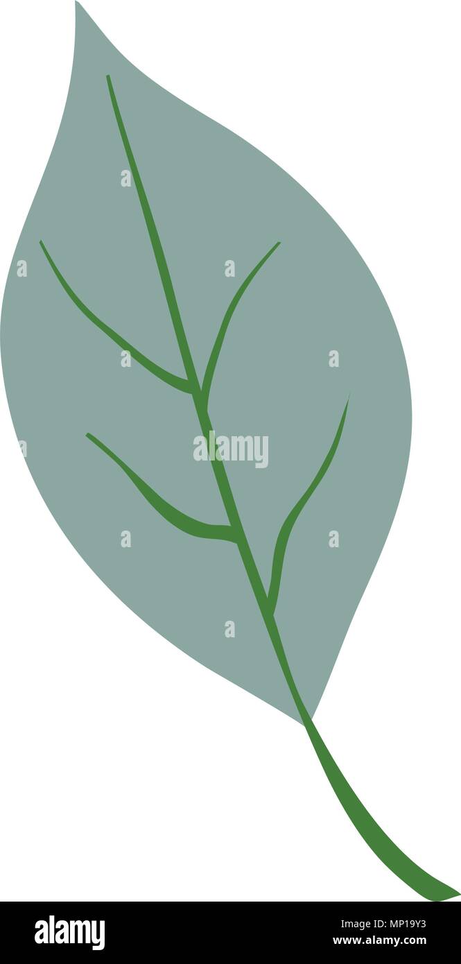 leaf single decorative icon Stock Vector Image & Art - Alamy