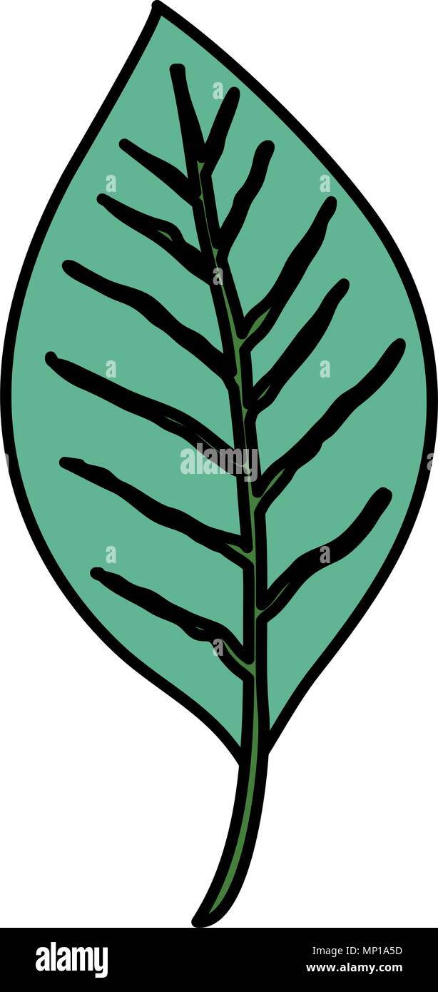 leaf single decorative icon Stock Vector Image & Art - Alamy