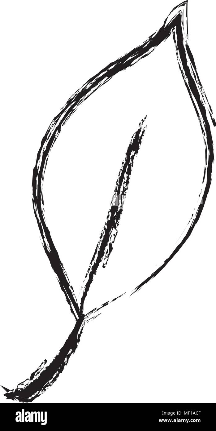 leaf single decorative icon Stock Vector Image & Art - Alamy