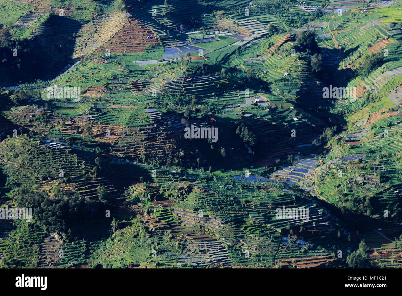 the dieng plateau and mount prau is one of the most beautiful ...