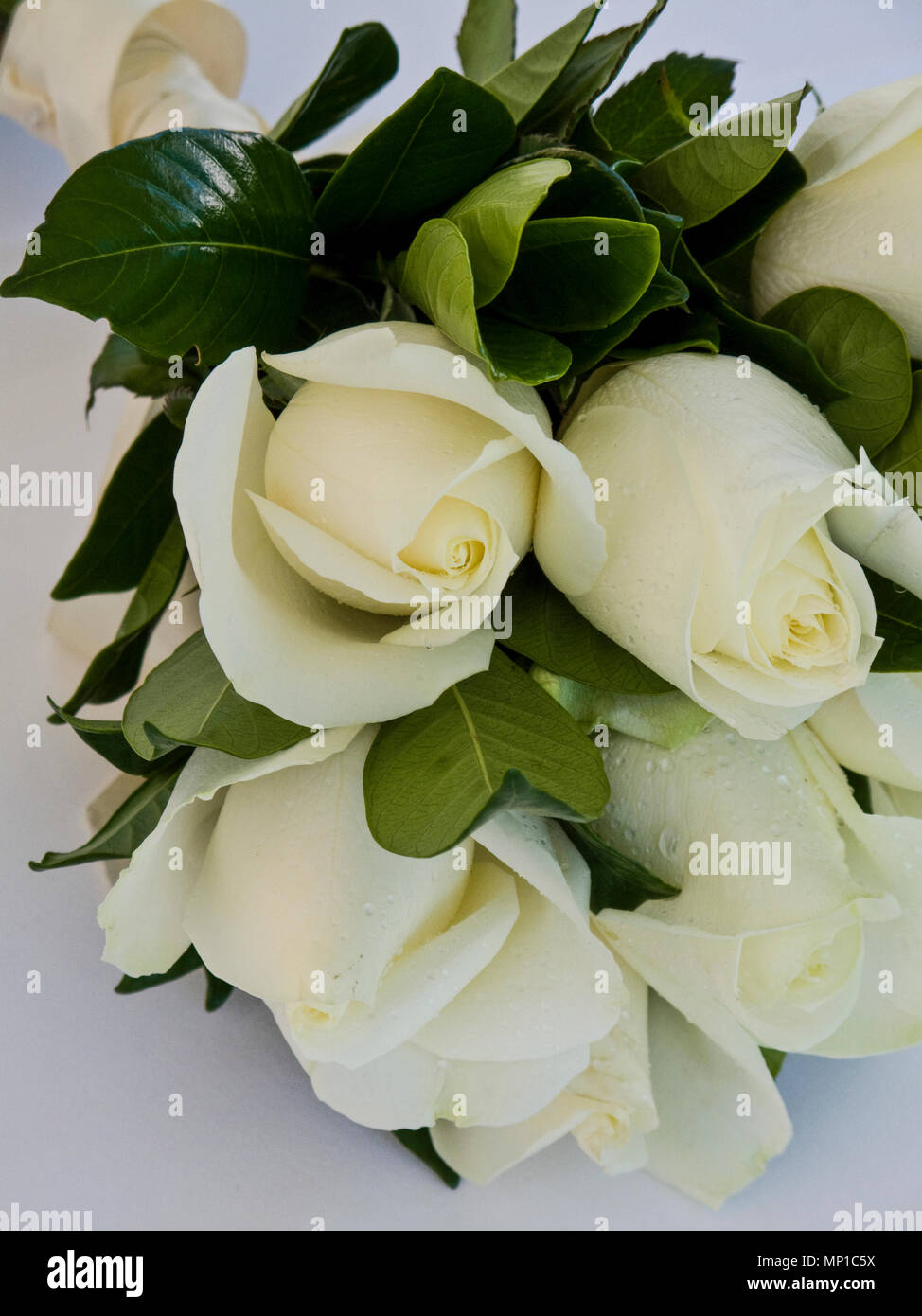white rose buds stylish pure love and delicate roses mix bouquet ...