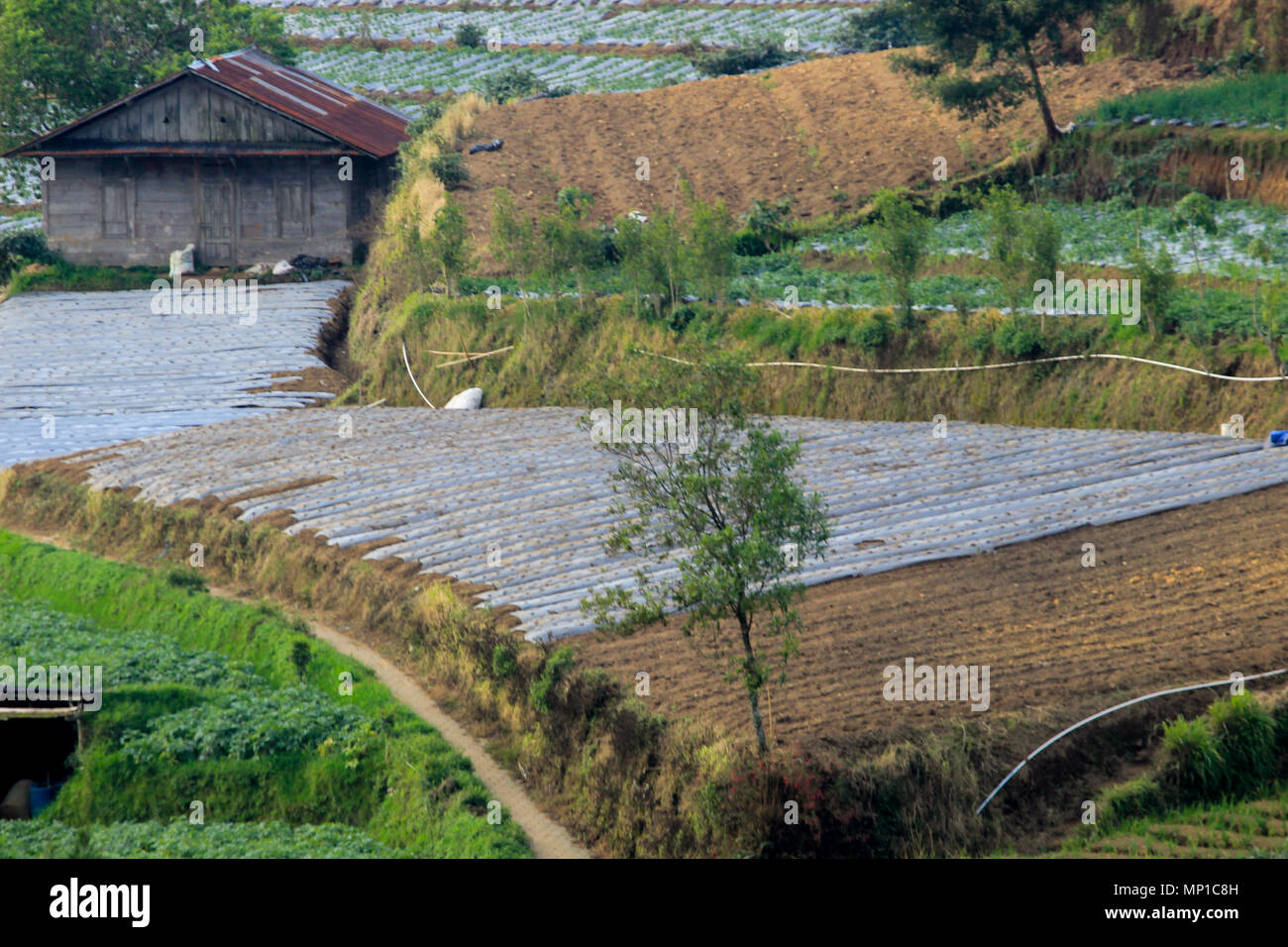 the dieng plateau and mount prau is one of the most beautiful ...