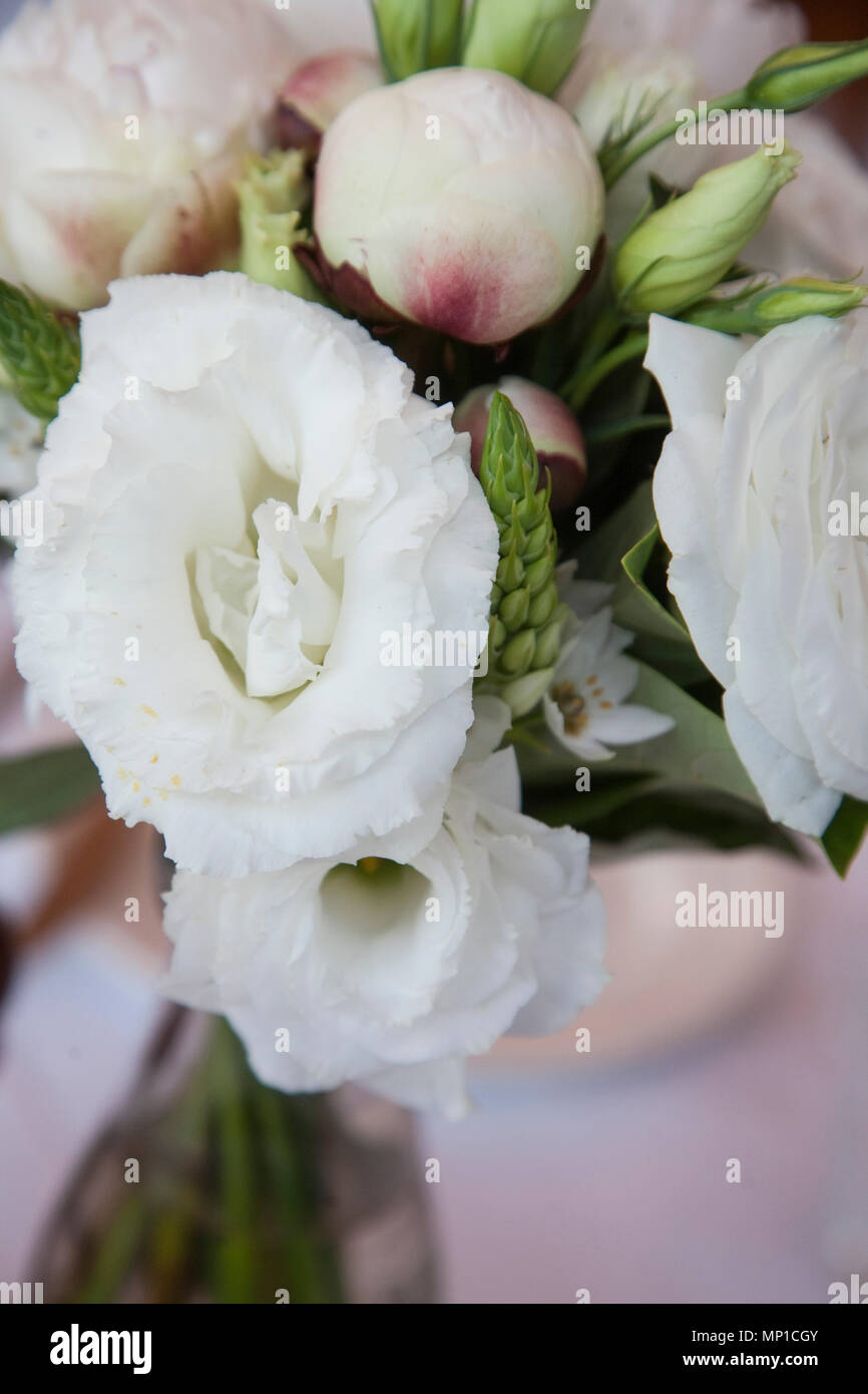 Beautiful delicate colours soft sweet flowers Stock Photo - Alamy