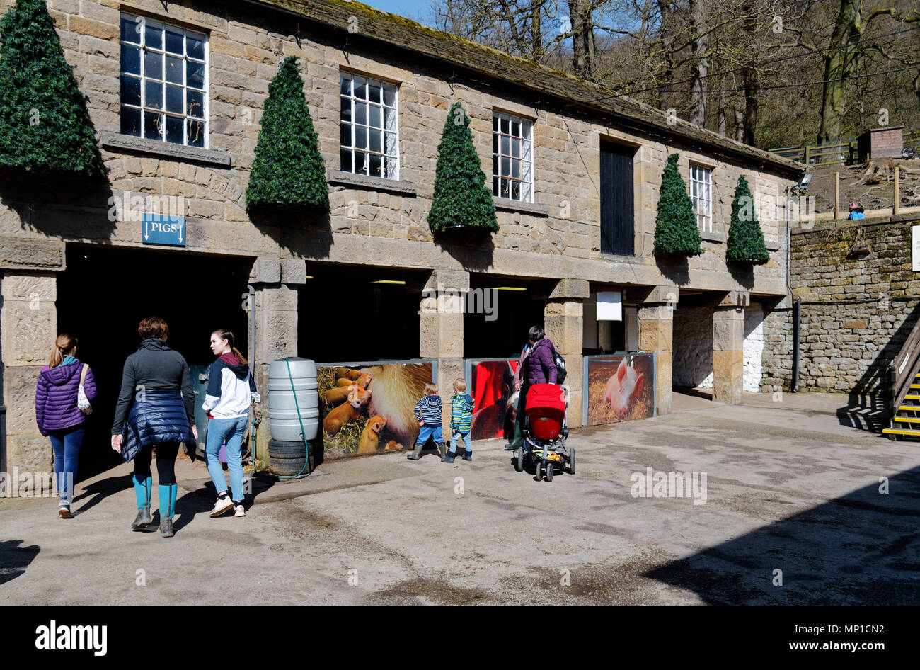 People going in to see the pigs in the Farmyard at Chatsworth House ...