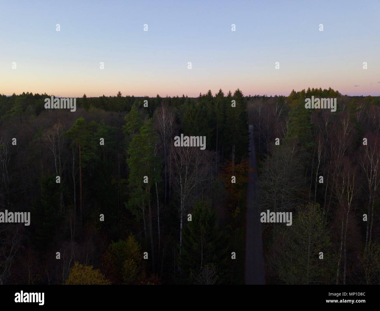 Aerial view over a forest in Sweden with road passing Stock Photo - Alamy