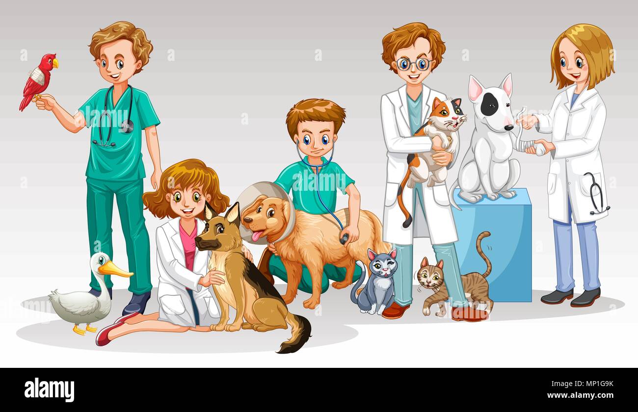 A Vet Doctor Team on White Background illustration Stock Vector Image ...