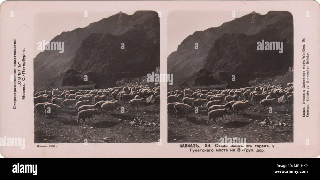 . English: Geo. Mil. High. Gveleti. Flock of sheep . 1910. Unknown 1153 ...
