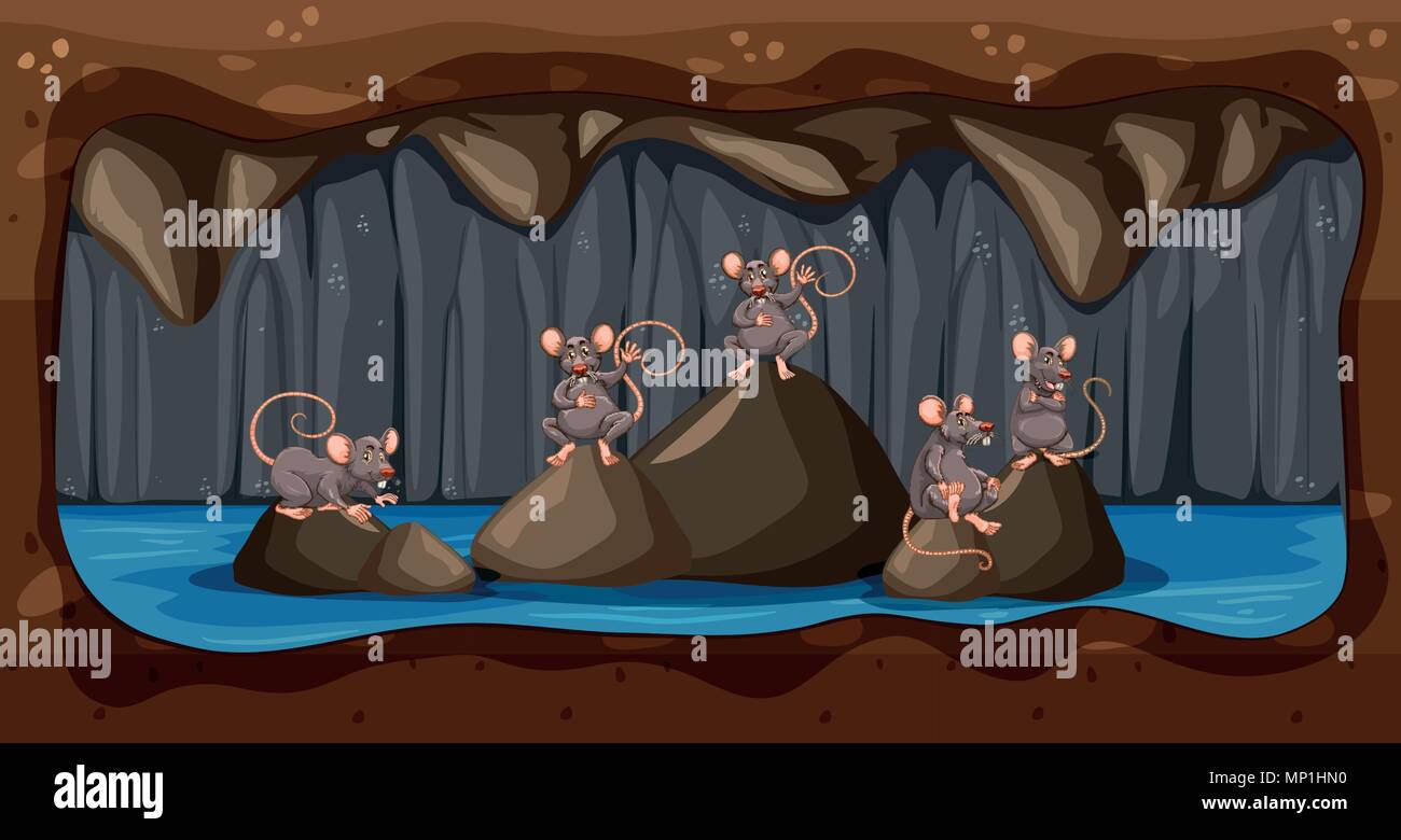 A Dirty Underground Rat House illustration Stock Vector Image & Art - Alamy