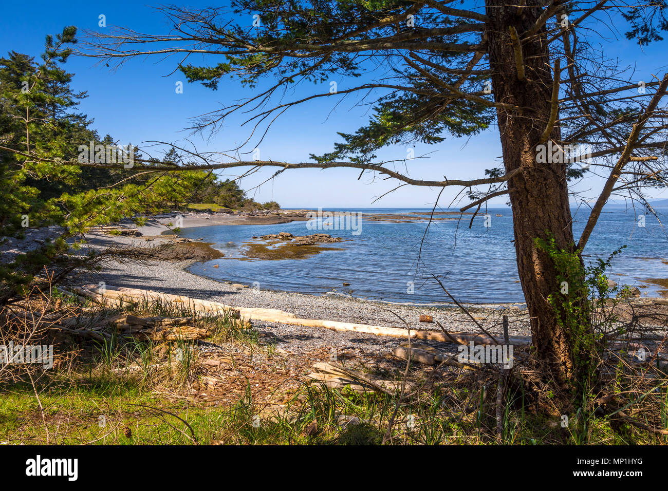 Coast salish hi-res stock photography and images - Alamy