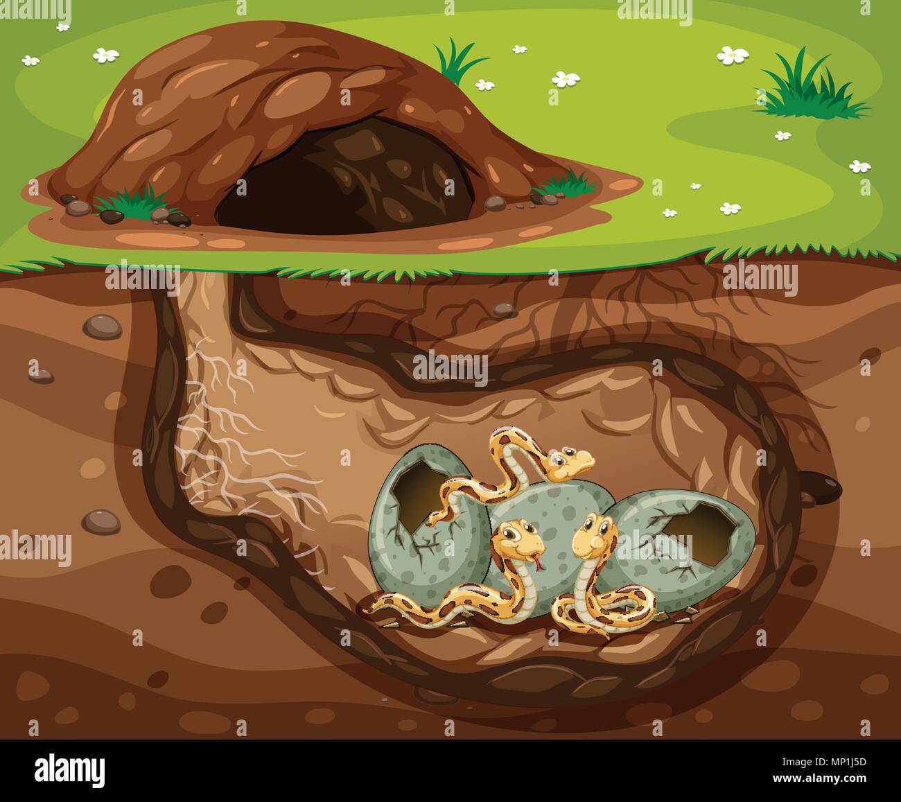 Under ground dirt Stock Vector Images - Alamy