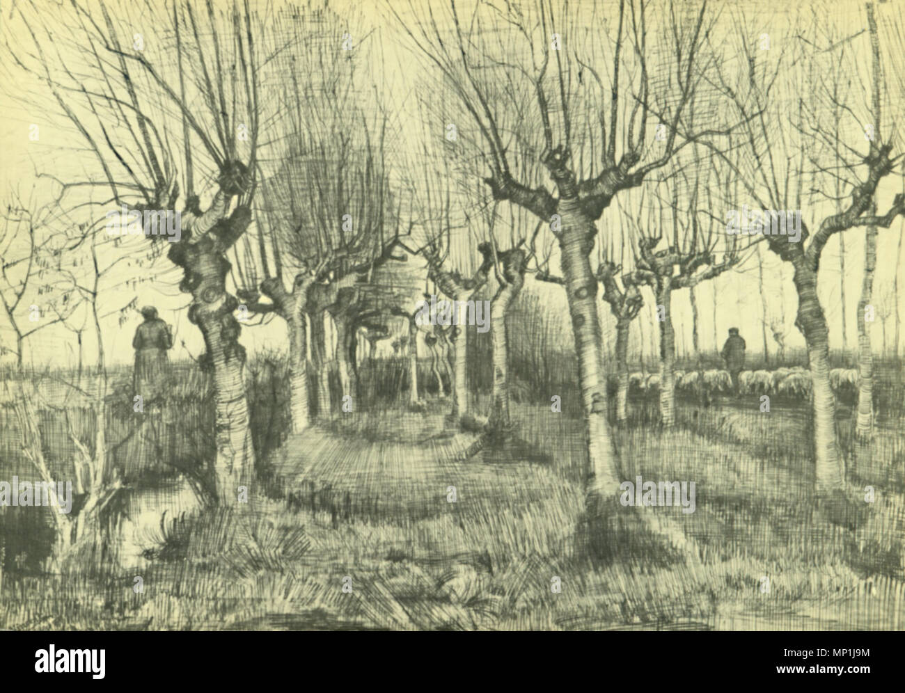 Pollard birches Nuenen, March 1884. 1223 Van-Gogh kopfbirken-schafhirt ...