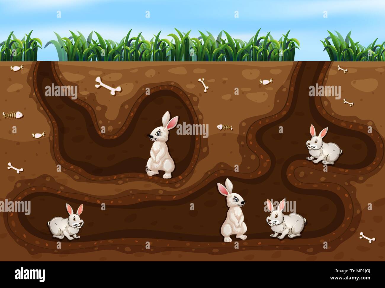 Rabbit in home Stock Vector Images - Alamy