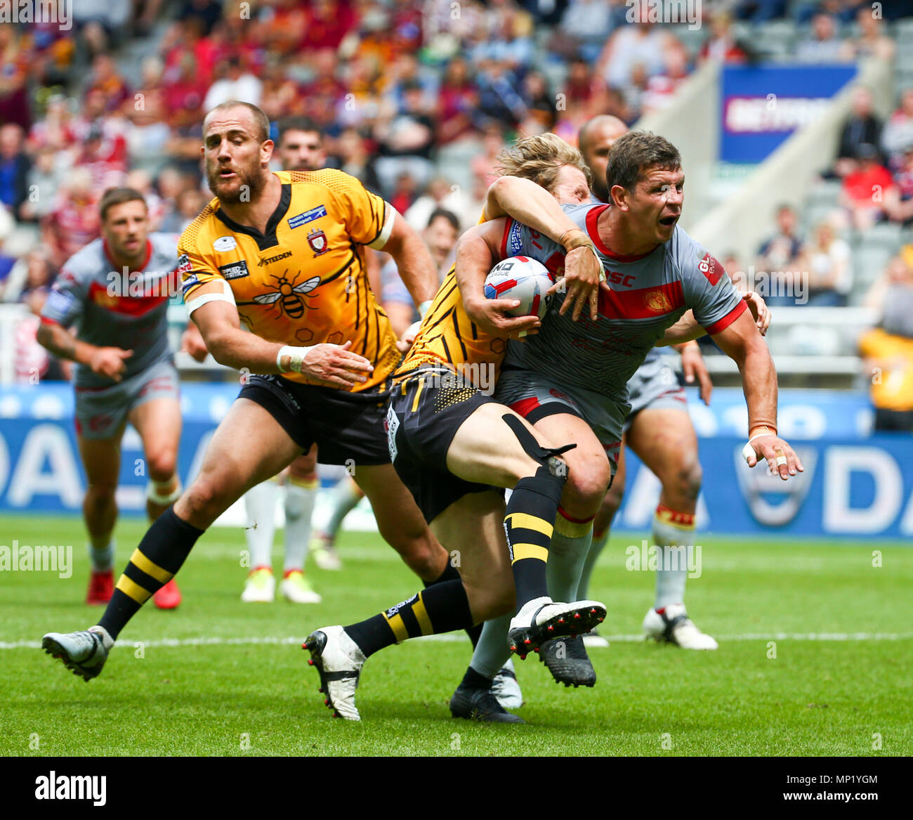 Greg bird hi-res stock photography and images - Alamy