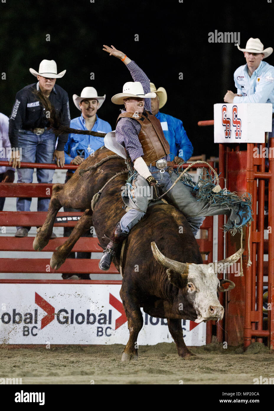 Surrey, British Columbia, Canada. 19th May, 2018. A cowboy competes in ...