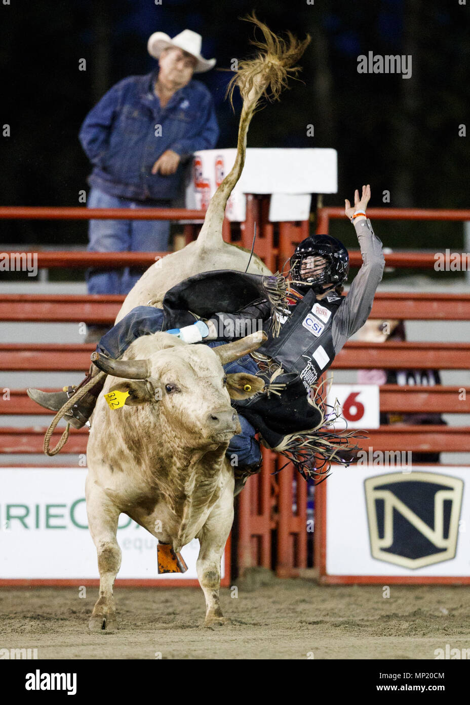 Surrey, British Columbia, Canada. 19th May, 2018. A cowboy competes in ...