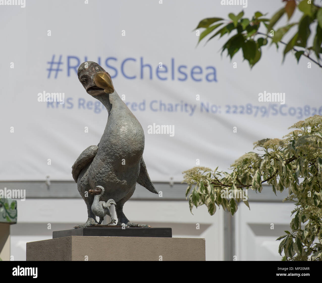 Dodo garden sculpture hi-res stock photography and images - Alamy