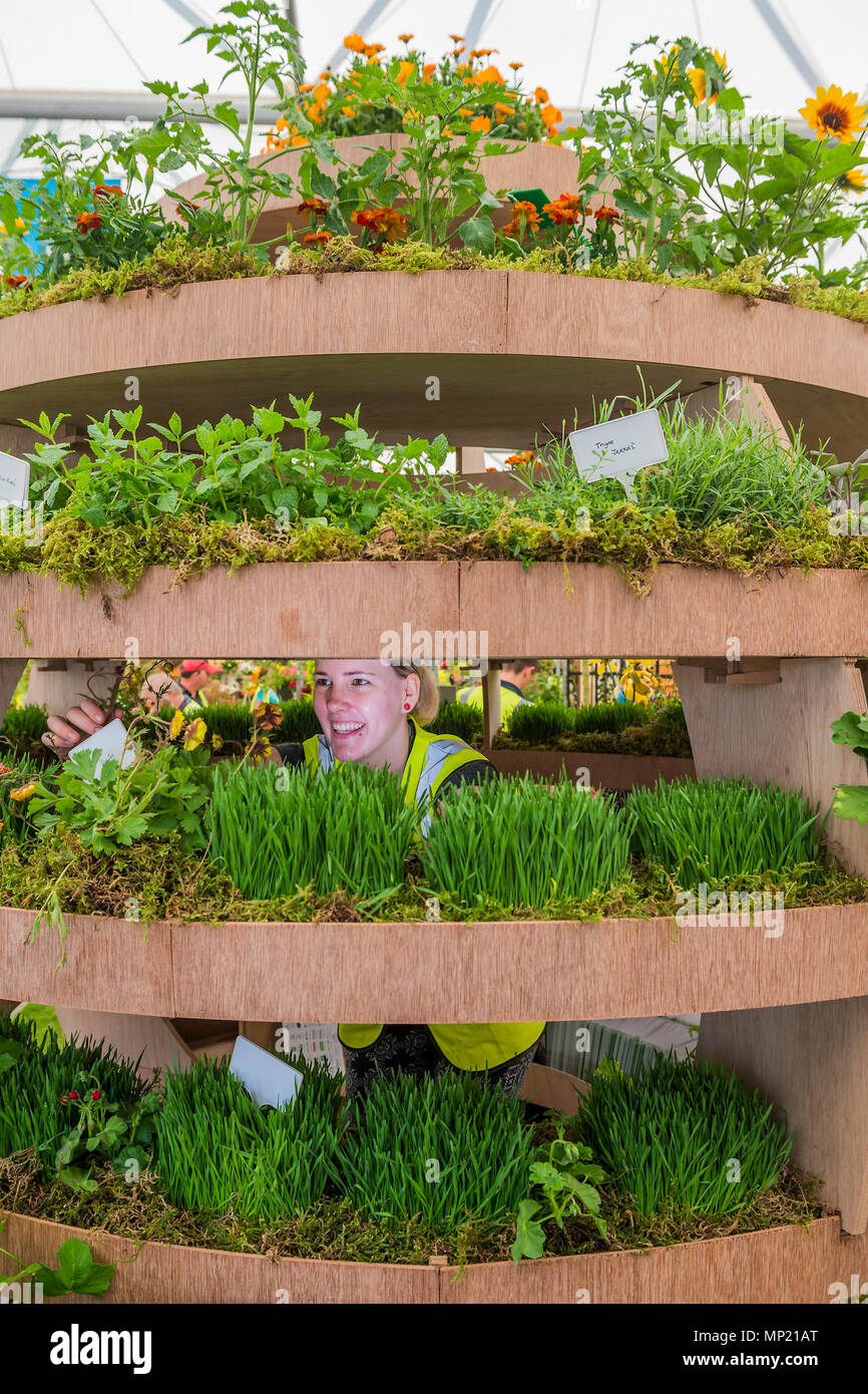 London, UK. 20th May 2018. A communal planter, part of The Great Escape ...