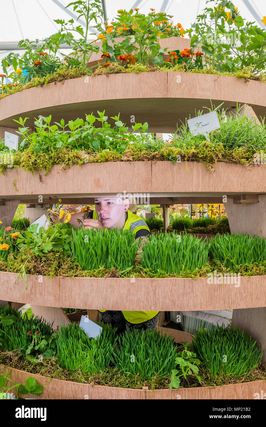London, UK. 20th May 2018. A communal planter, part of The Great Escape ...