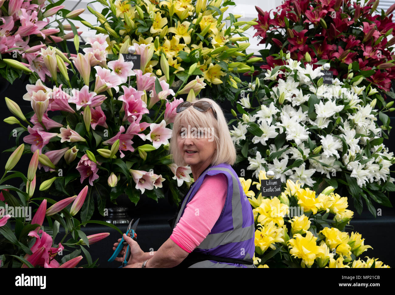 London, UK. 20th May 2018. A woman putting the final touches on a ...