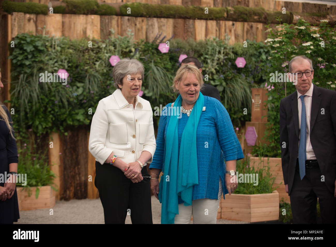 Sue Biggs High Resolution Stock Photography and Images - Alamy