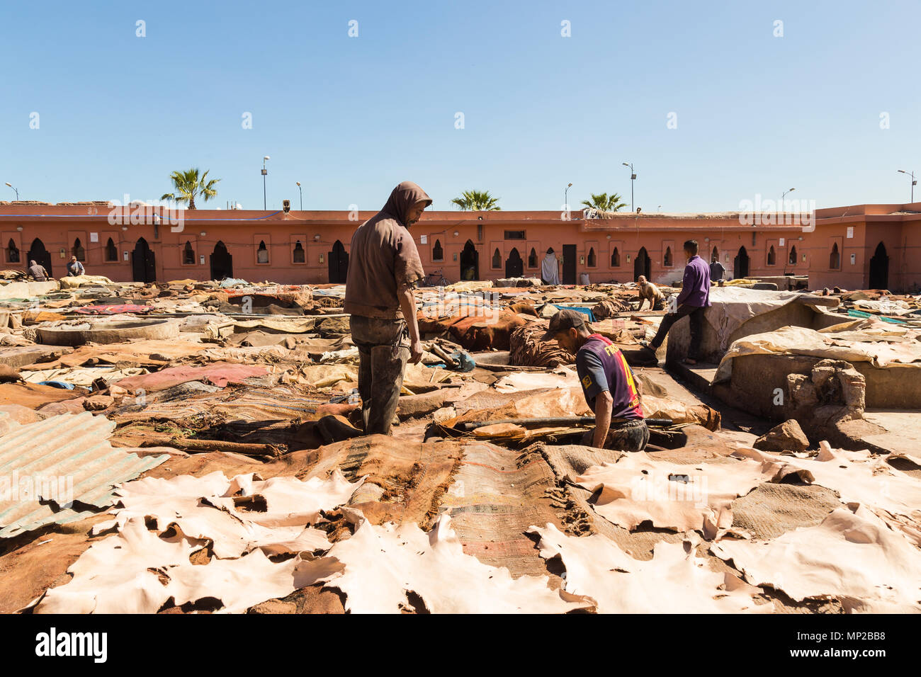 Medina tannery hi-res stock photography and images - Alamy