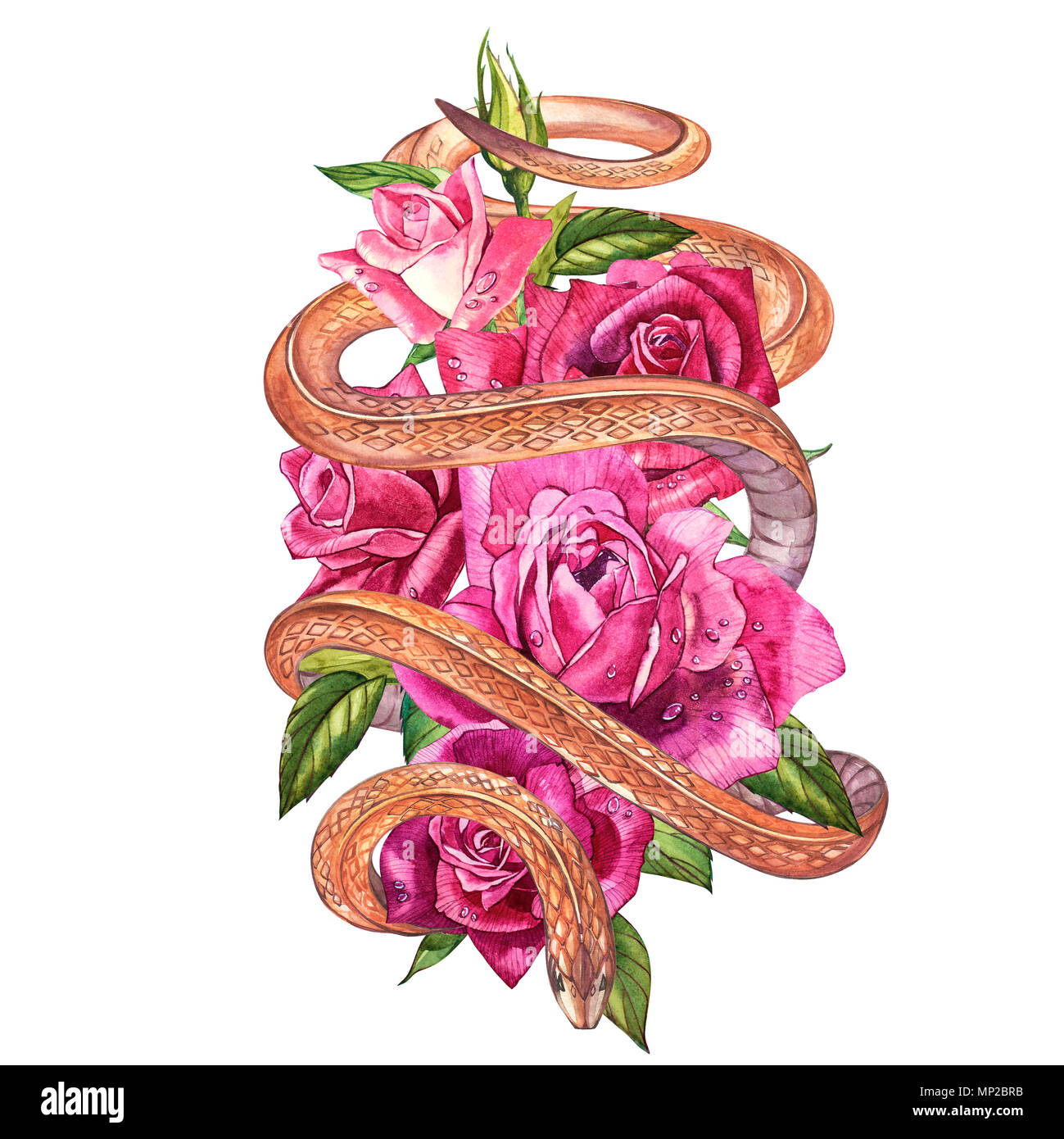 Snake with beautiful garden roses. Compositions of red and pink roses ...