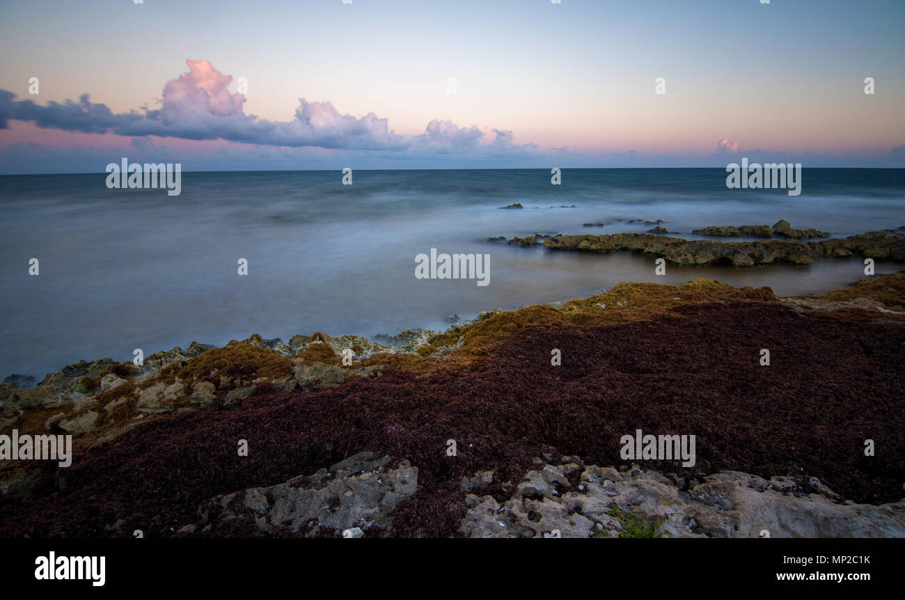 Beautiful scene cancun mexico hi-res stock photography and images - Alamy
