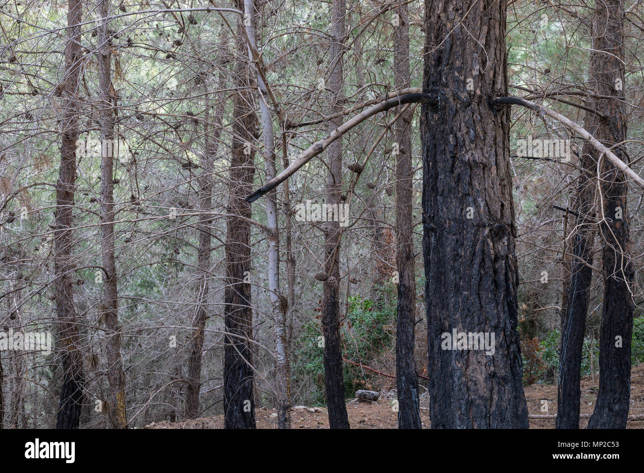 Burn marks hi-res stock photography and images - Alamy