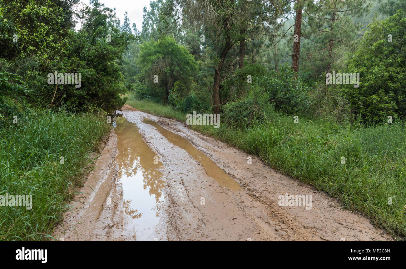 Muddy rainwater hi-res stock photography and images - Alamy