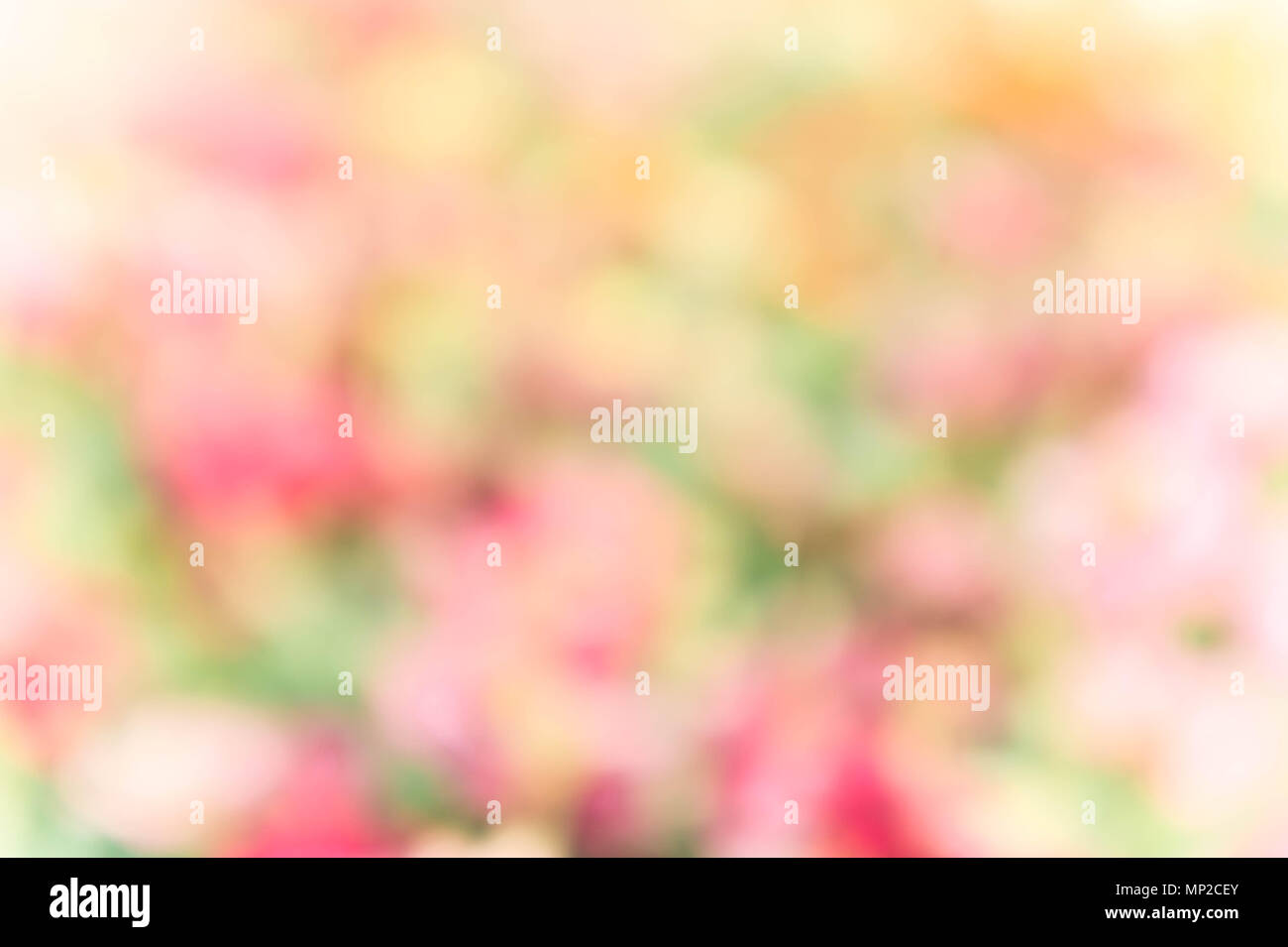 abstract colorful mix nature blur background Stock Photo - Alamy