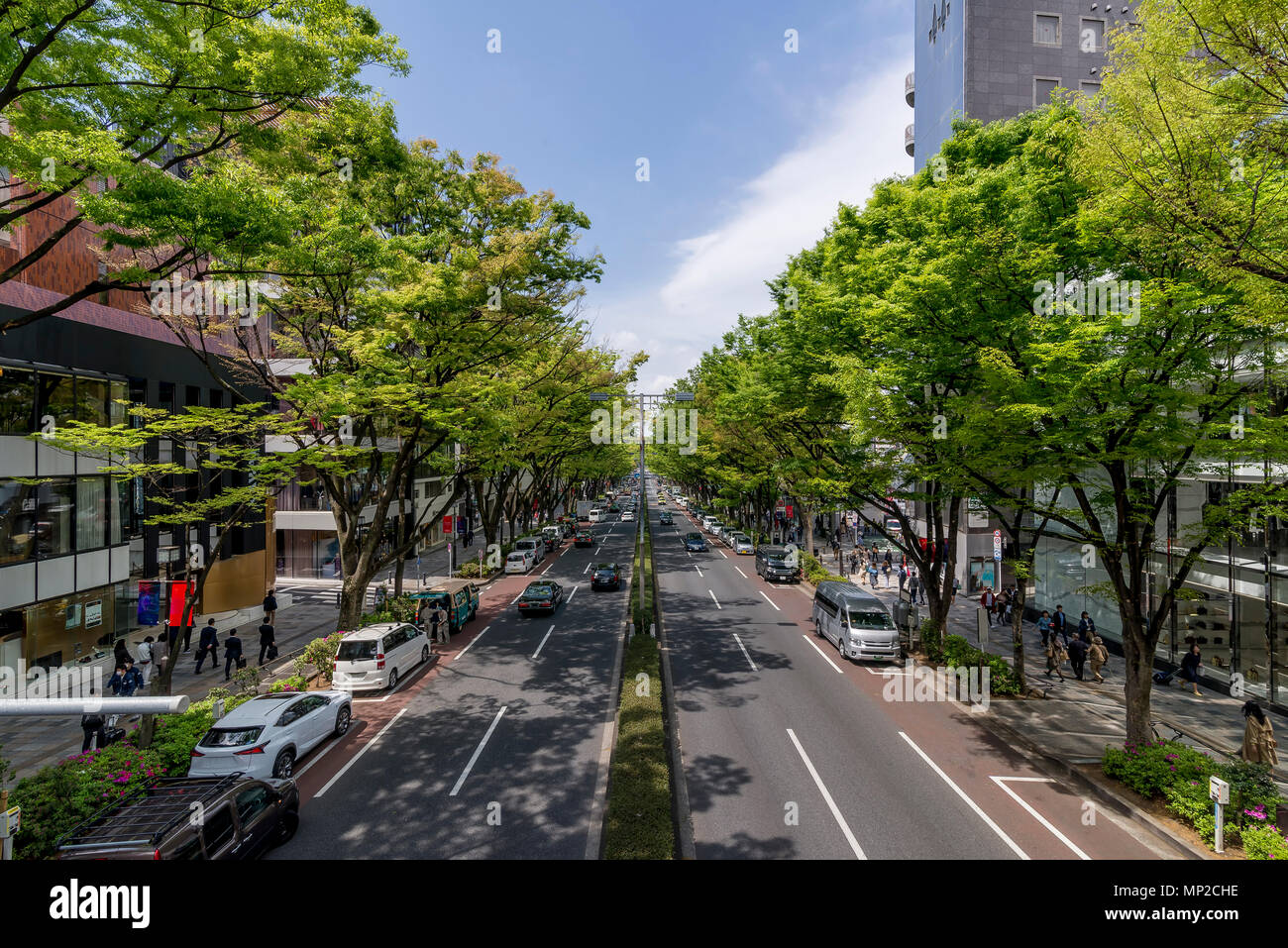 Omotesando tokyo hi-res stock photography and images - Alamy