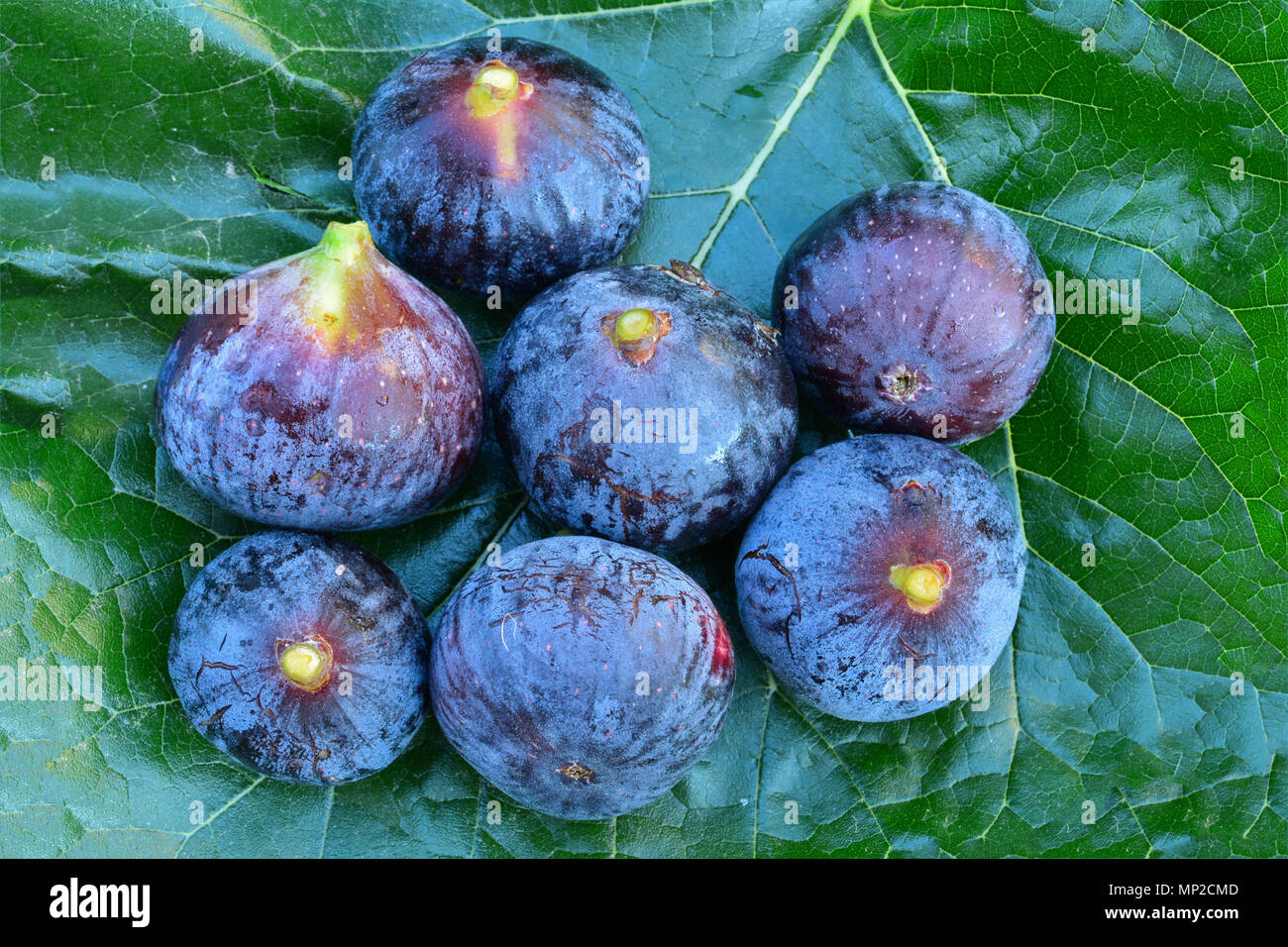 Greek figs hi-res stock photography and images - Alamy