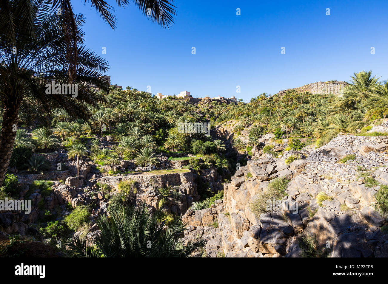 Traditional arab palm house hi-res stock photography and images - Alamy