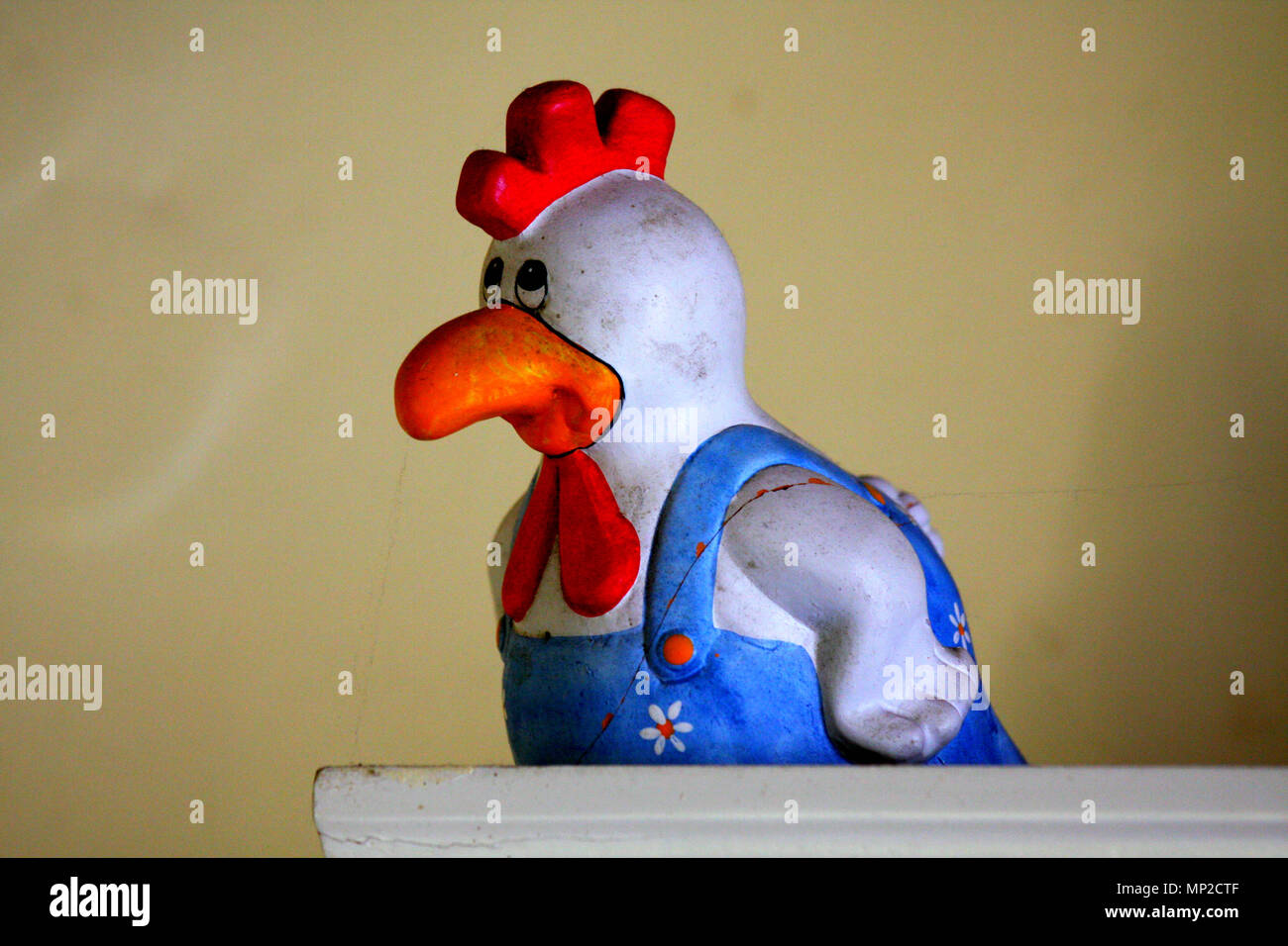Rooster pet hi-res stock photography and images - Alamy