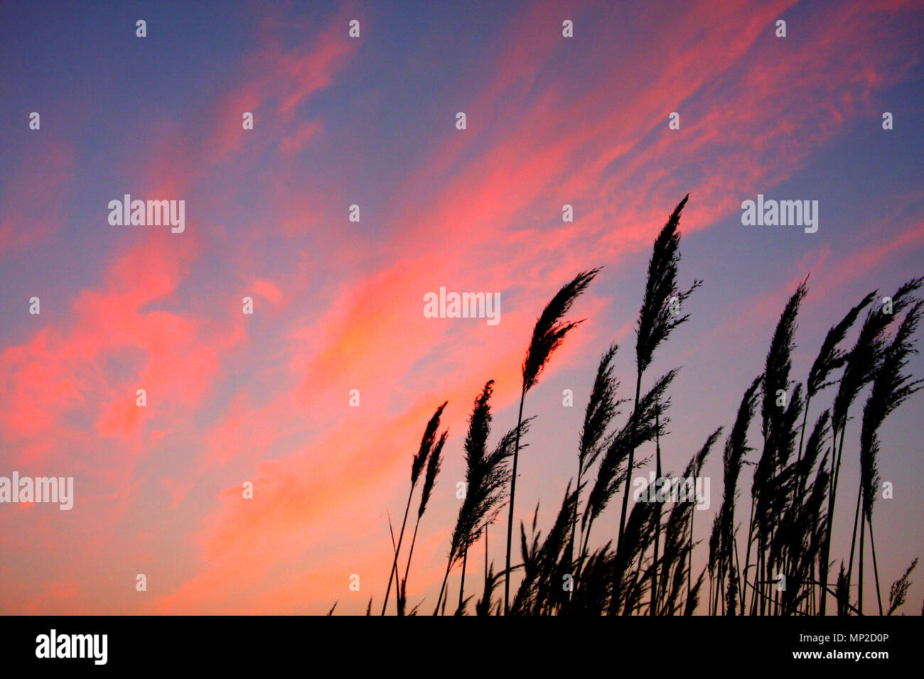 A Burning Hot Summer