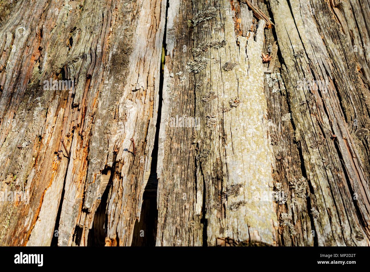 Destroyed table hi-res stock photography and images - Alamy