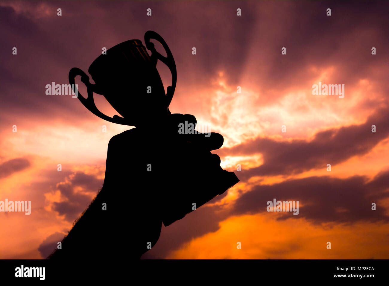 Hand holding winner trophy Stock Photo - Alamy
