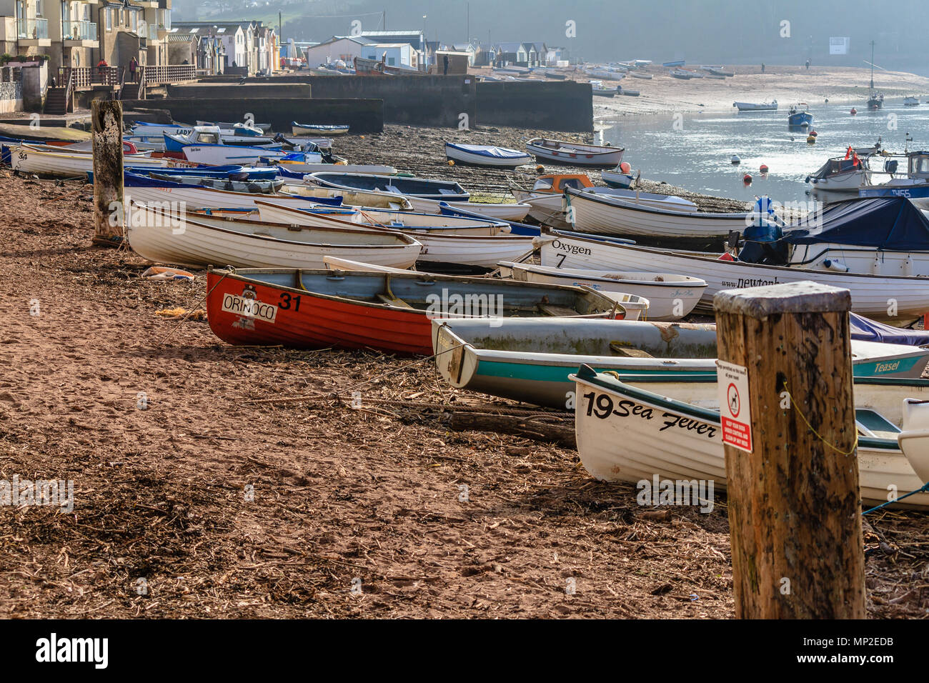 Devon sandy beach hi-res stock photography and images - Alamy