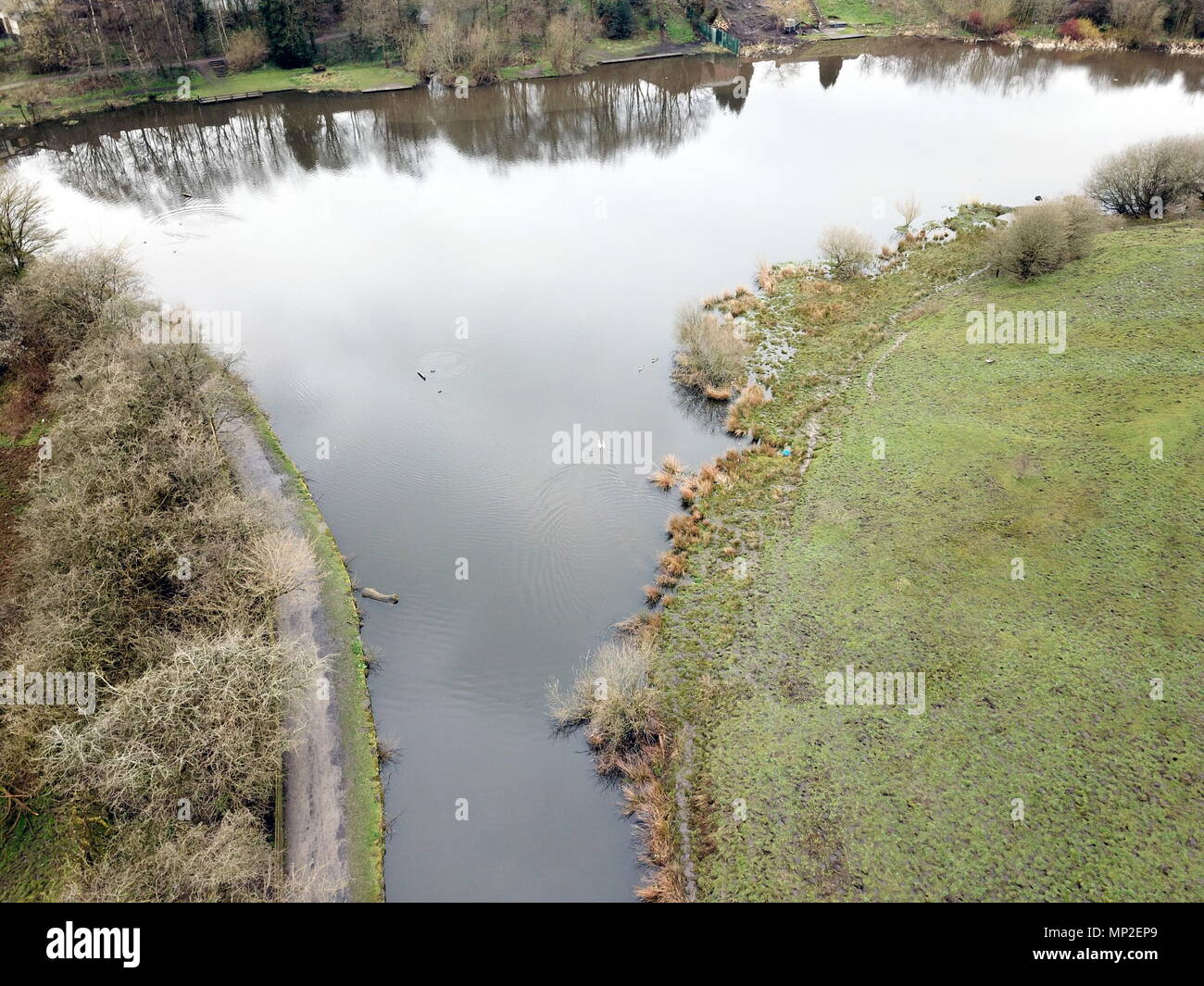Small Pond with in a Country Park with Ducks Stock Photo - Alamy