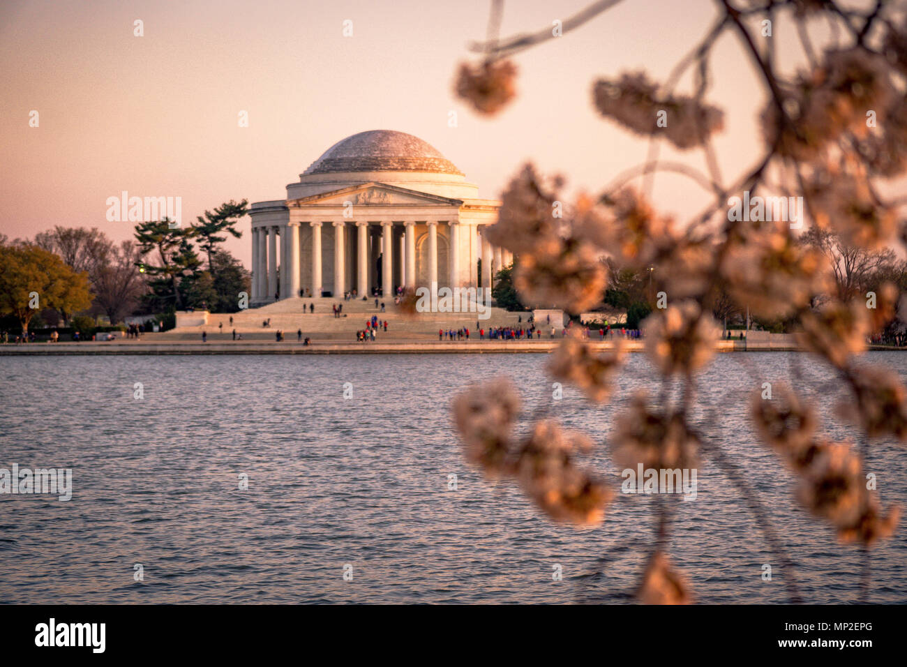 Washington, DC Cherry Blossom Festival Stock Photo - Alamy