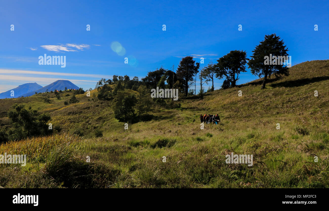 the dieng plateau and mount prau is one of the most beautiful ...