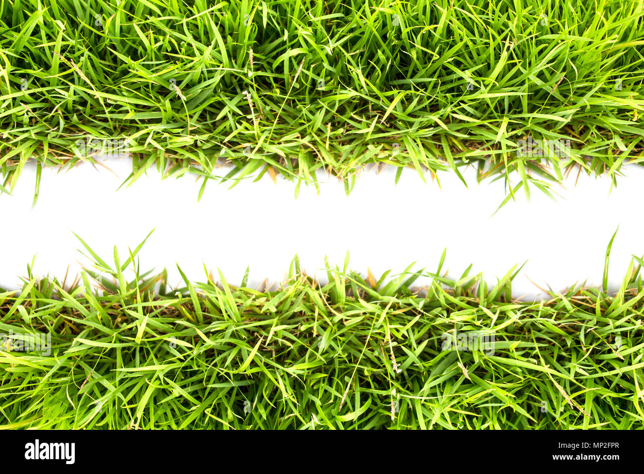 Green grass Frame Stock Photo - Alamy